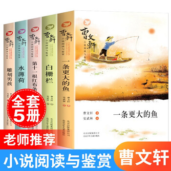 曹文轩的书共5册 一条更大的鱼白栅栏第十一根红布条水薄荷雕刻男孩课外阅读书籍曹文轩小说集阅读与鉴赏