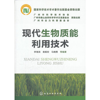 现代生物质能利用技术 李海滨 化学工业出版社