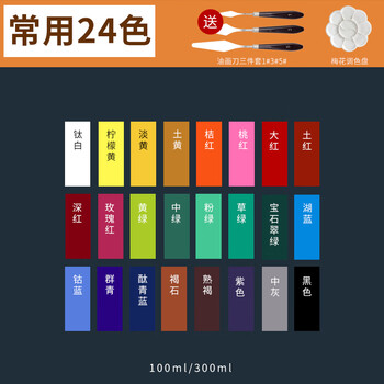 丙烯颜料防水手绘画材料diy墙绘彩绘工具24色画鞋子12色300ml白色炳稀染料不掉色儿童涂鸦丙 常用24色 300ml