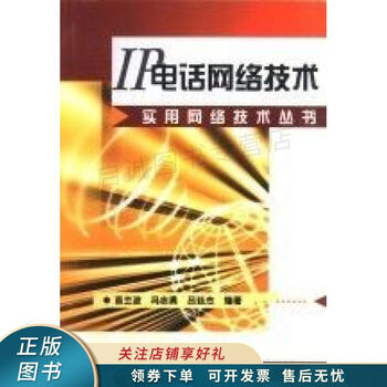 IP 电话网络技术