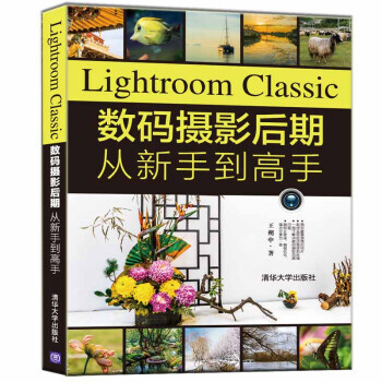 数码摄影后期 从新手到高手118-2-4,265-7-3 王朔中 著 清华大学出版社
