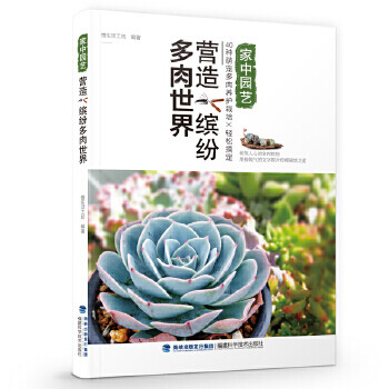 营造缤纷多肉世界 慢生活工坊
