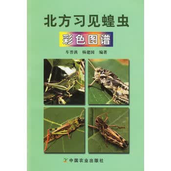 北方习见蝗虫彩色图谱【正版图书】