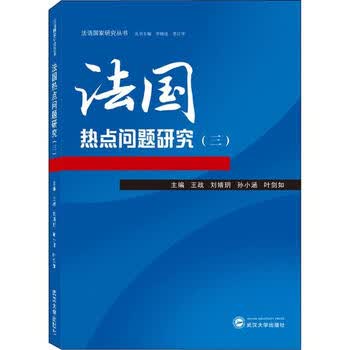 热点问题研究(三)王战武汉大学出版社9787307228603 政治/军事书籍