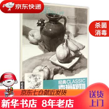 【新华书店 正版书籍】经典素描静物杨建飞中国书店出版社 正版图书绘本