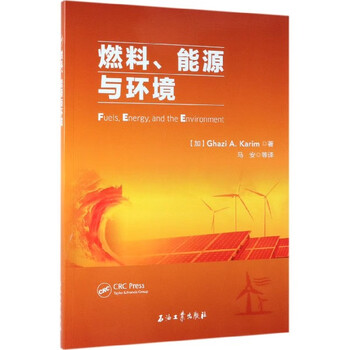 燃料、能源与环境 (加)Ghazi A.Karim 正版书籍 网