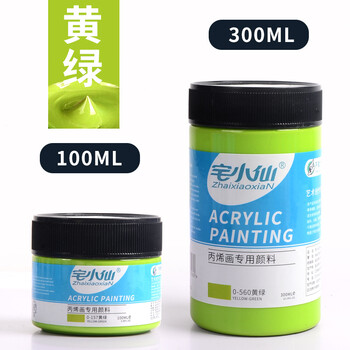 丙烯颜料防水手绘画材料diy墙绘彩绘工具24色画鞋子12色300ml白色炳稀染料不掉色儿童涂鸦丙 黄绿 300ml