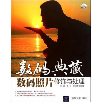 数码典藏 刘峥 等 著【正版书】