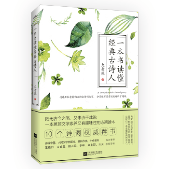 一本书读懂经典古诗人 湖北新华书店泛海 江苏凤凰文艺出版社