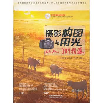 摄影构图与用光从入门到精通【正版图书】