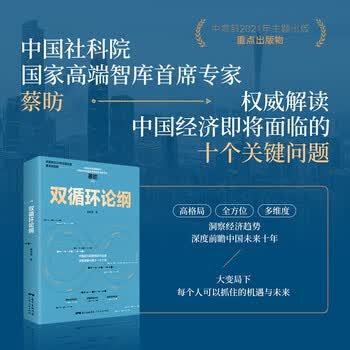 双循环论纲 中国经济2022双循环读懂未来中国经济经济类书籍 双循环论纲