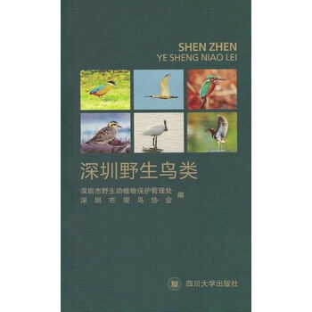 深圳野生鸟类