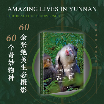 现货正版 奇妙物种在云南：生物多样性之美  部静态的生态自然纪录片 广西师范大学出版社 97875