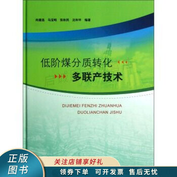 低阶煤分质转化多联产技术