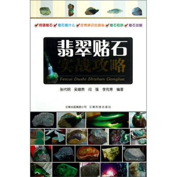 翡翠赌石实战攻略   书藉