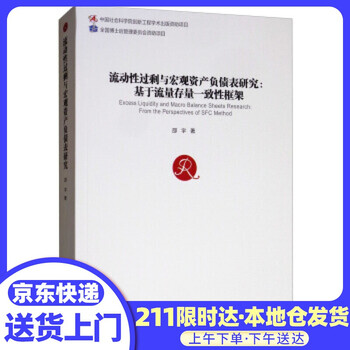 流动性过剩与宏观资产负债表研究：基于流量存量一致性框