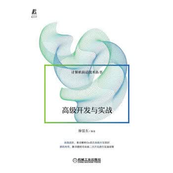 Go语言高级开发与实战 图书