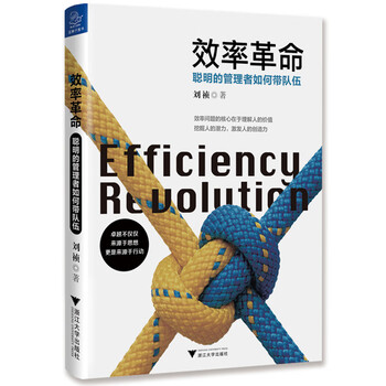 效率革命：聪明的管理者如何带队伍