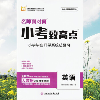 名师面对面小考致高点 小学毕业升学系统总复习语文 数学 英语 英语【人教版】