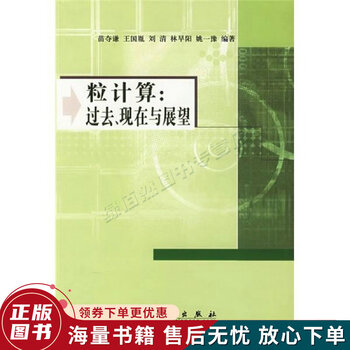 粒计算：过去、现在与展望