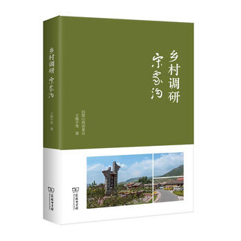乡村调研 宋家沟 王维平 等【正版书】