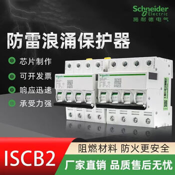 后备保护器ISCB2 40H2 65H2 20N2 ISCB1 15L1浪涌配套保护 ISCB1-25L1-25L2 4P【图片 价格 品牌 报价】-京东