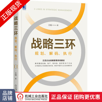 现货包邮 战略三环:规划、解码、执行 王钺 战略管理8075662