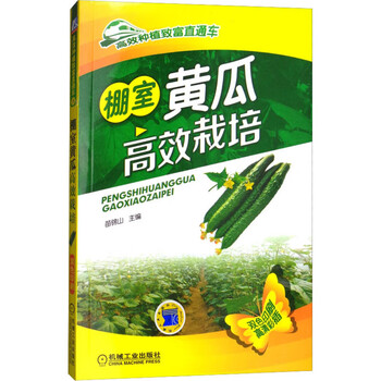 棚室黄瓜高效栽培