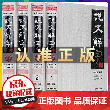 说文解字 许慎简体注音版 段玉裁译注 全注全译全解 古代汉语字典汉字工具书PK画说汉字树汉字王国