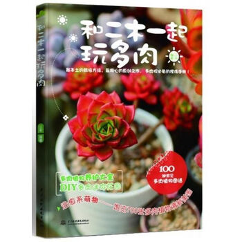 和二木一起玩多肉