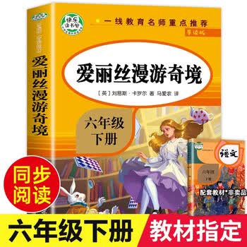 爱丽丝漫游奇境  快乐读书吧六年级下册必读的课外书 世界名著课外阅读 老师推荐下学期课外阅读书籍