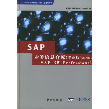 SAP NetWeaver精要丛书SAP业务信息仓库 艾格