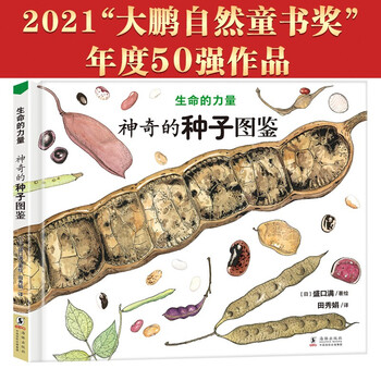 生命的力量：神奇的种子图鉴 3-6岁（一座包罗万象的种子博物馆，引领孩子从一粒种子开始探索生命。自然科学绘本大师、博物学家盛口满全新力作。附赠大幅精美导读。精装）丁虹绘本馆出品