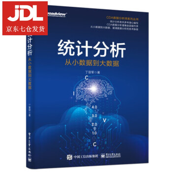 统计分析：从小数据到大数据 丁亚军 9787121377532