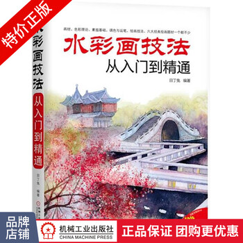 (特价书) 水彩画技法从入门到精通231320