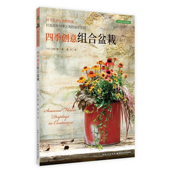 四季创意组合盆栽家居盆栽观赏园艺图书