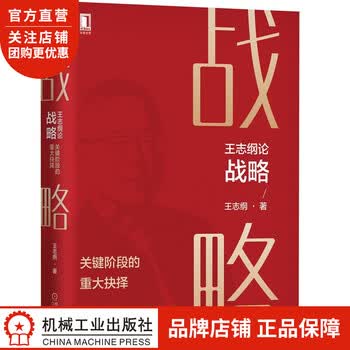 正版 王志纲论战略:关键阶段的重大抉择王志纲8082982