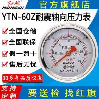红旗牌仪表YTN-60Z/YN-60Z抗震耐震轴向压力表充油压力表真空表 0~40MPa【图片 价格 品牌 报价】-京东