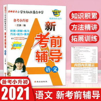 2021考前辅导语文小学生挑战重点中学新考前辅导语文小升初全攻略系列56年级复习资料五六年级小学生毕 图片色