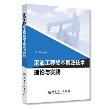 采油工程降本增效技术理论与实践