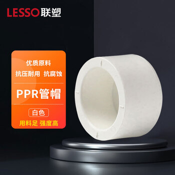 联塑PPR20 4分25 32管帽堵帽水管配件PPR堵头热熔4分6分水堵管件 管帽(PP-R 配件)白色 dn20【图片 价格 品牌 报价】-京东