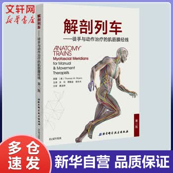 【正版包邮】解剖列车第3版 简体中文第三版 徒手与动作治疗的肌筋膜经线 彩色人体解剖学结构