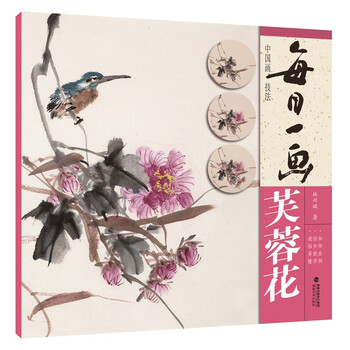 每日一画.中国画技法-芙蓉花9787539338804