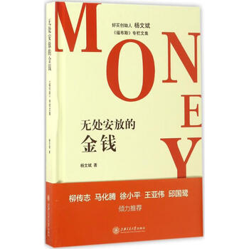 无处安放的金钱 杨文斌 著 