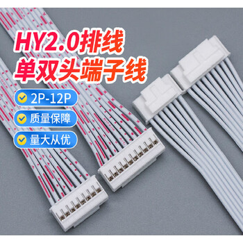 定制HY2.0mm端子线 2p-12p带锁扣连接线 间距2.0排线 双头红白排 2P 200mm 双头反向【图片 价格 品牌 报价】-京东