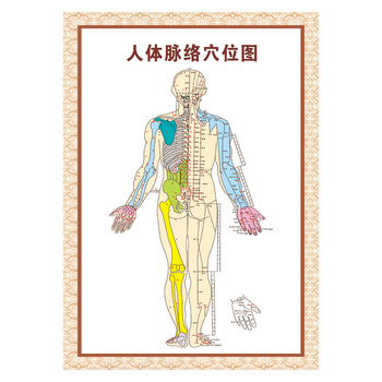 中医宣传画挂图中药配伍禁忌歌十八反十九畏歌脊柱图墙贴画WSA WSA36 人体脉络穴位图 100*70厘米 覆膜防水PP贴纸