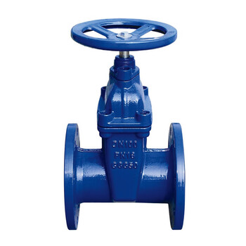 Z45X-16Q 球墨铸铁暗杆软密封闸阀 法兰弹性座封闸阀DN50 80 100 国标DN80【图片 价格 品牌 报价】-京东