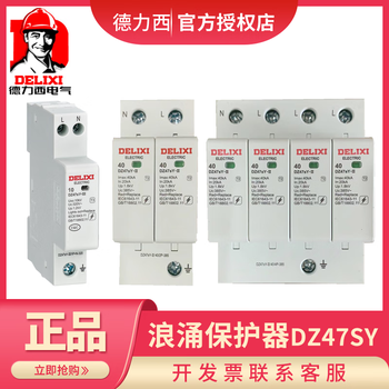 德力西防雷浪涌保护器 DZ47sY-II 40kA 2P 385V 65kA 4P 120KA DZ47sY-II 40kA 2P 385V【图片 价格 品牌 报价】-京东