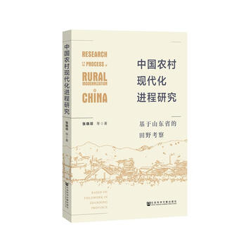 中国农村现代化进程研究