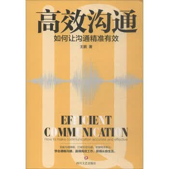 高效沟通王鹏 